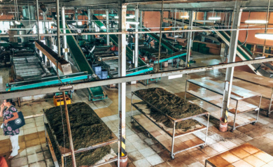 Sips Of Ceylon: Top 8 Sri Lankan Drinks You Should Try